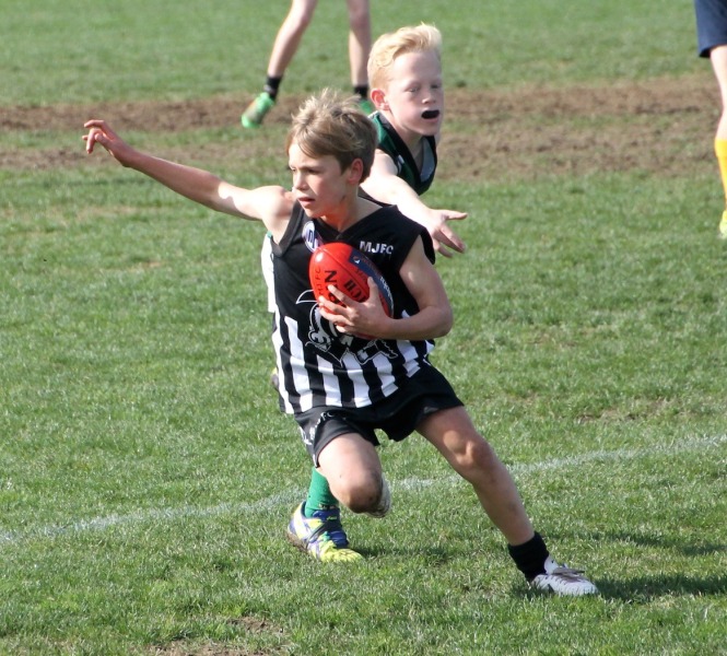 Photo Gallery | GameDay