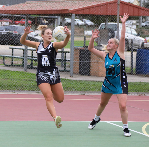 Photo Gallery | GameDay